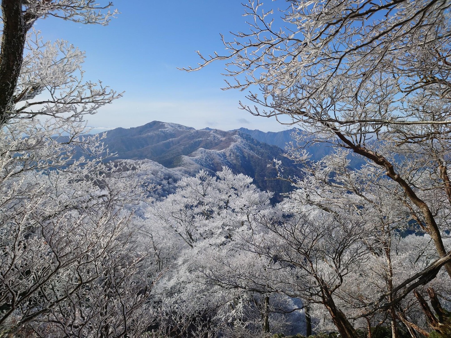 霧氷 と青空がどこまでも広がる傾に感激\⁠(⁠^⁠o⁠^⁠)⁠／ / SHIROさんの傾山の活動データ | YAMAP / ヤマップ