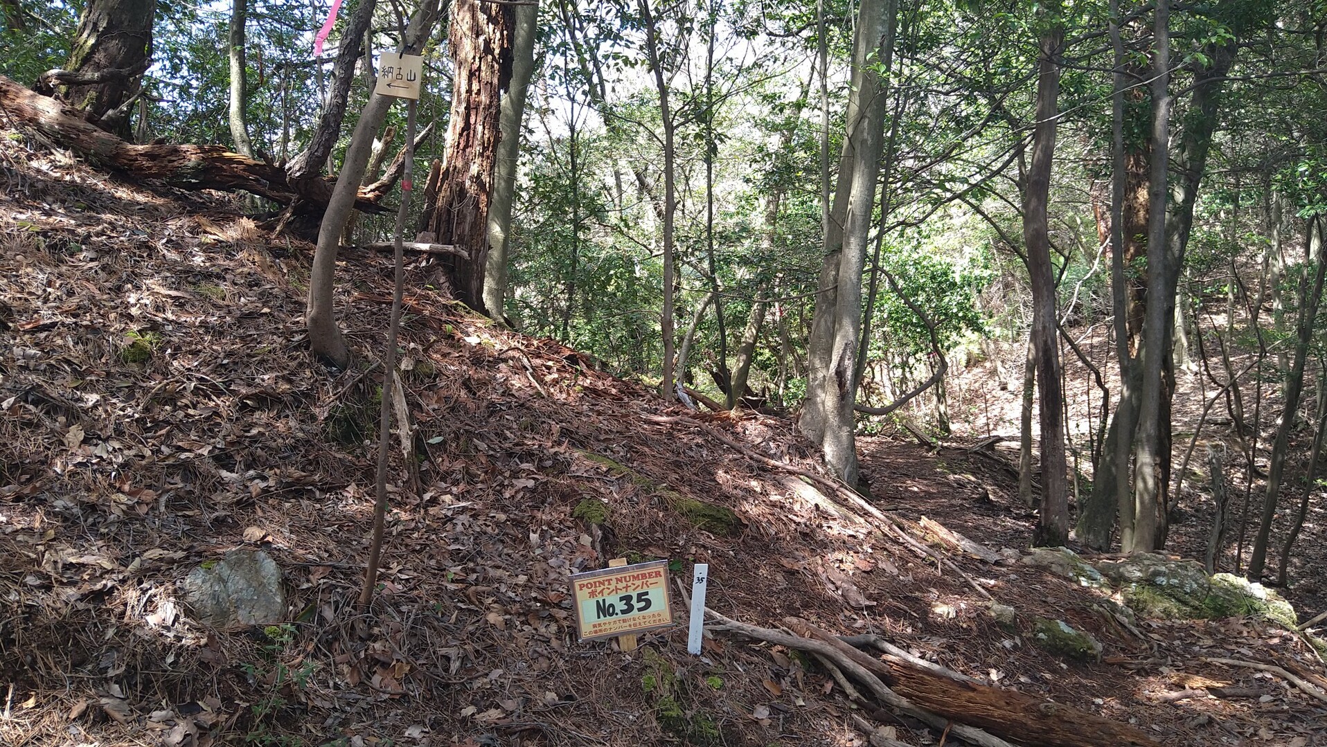 minyayonさんの投稿したフィールドメモ | YAMAP / ヤマップ