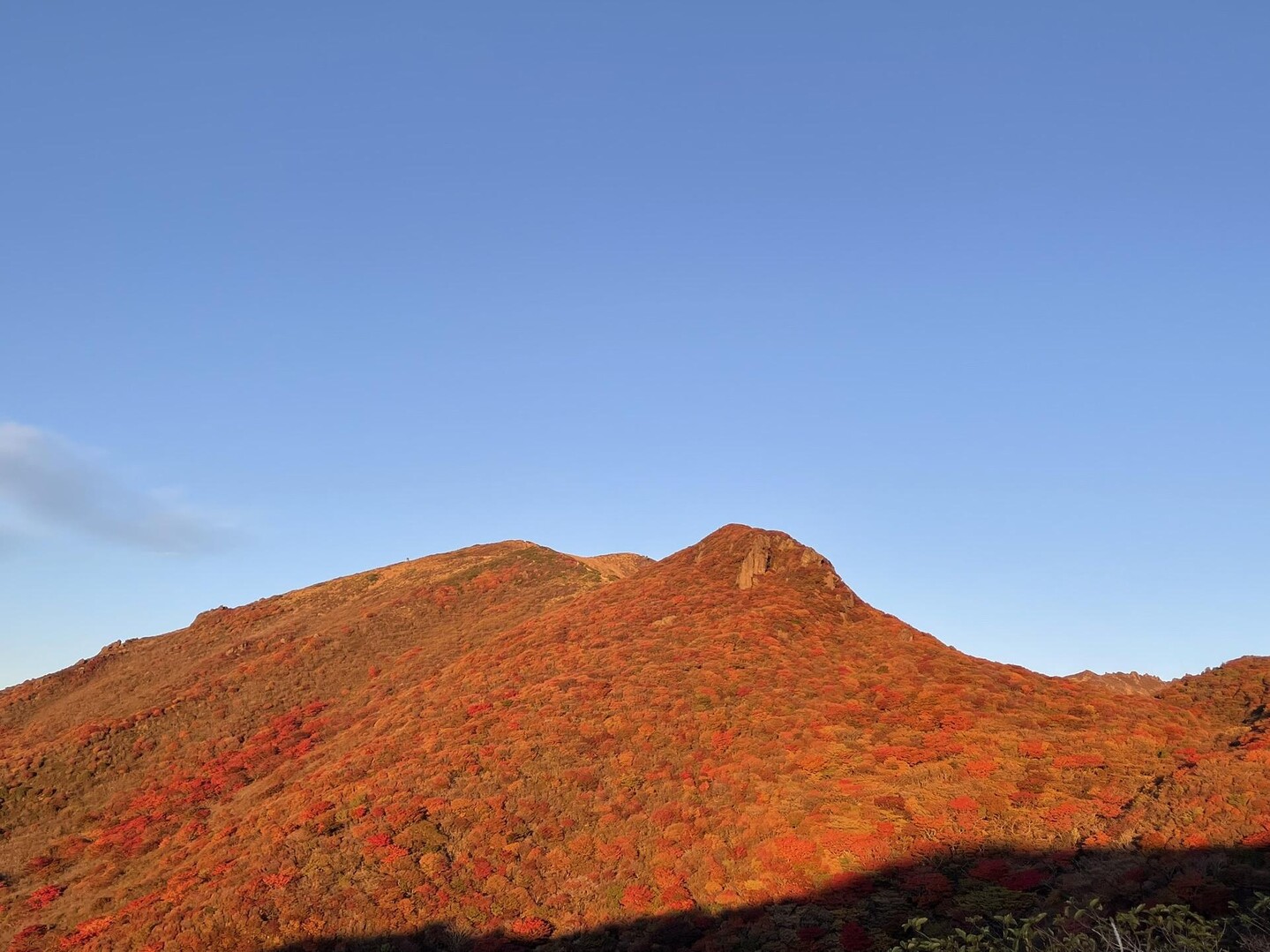 1 Dayくじゅう17サミッツ (時計回り) / Niko niko さんの九重山（久住山）・大船山・星生山の活動データ | YAMAP / ヤマップ