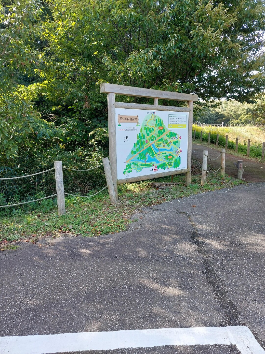白兀山889、権現山881 / 三角さんさんの医王山・白兀山・箱屋谷山の活動データ | YAMAP / ヤマップ