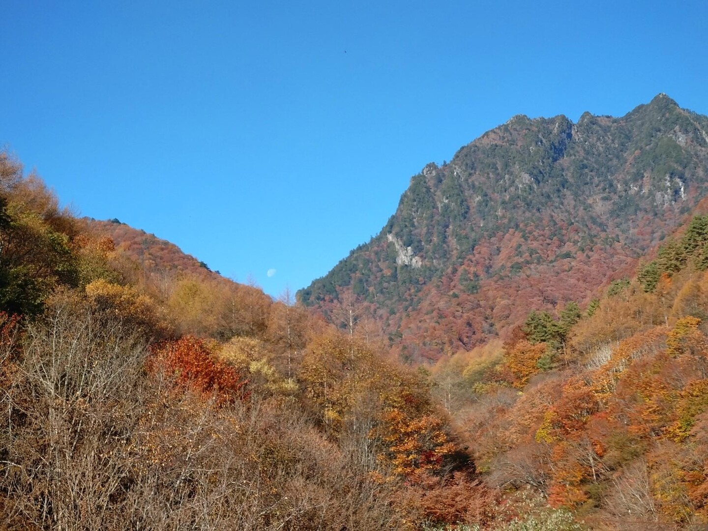 2023-11-03青空紅葉🍁西沢渓谷 / 勇太郎さんのウォーキングの活動データ | YAMAP / ヤマップ