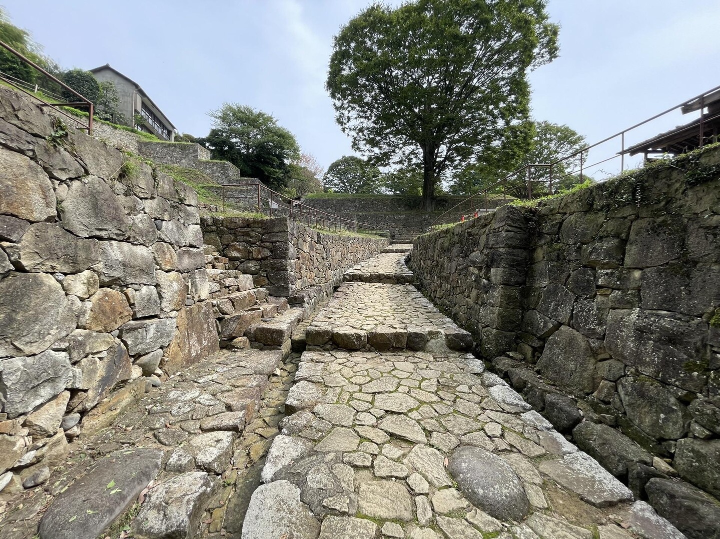 金山 -2024-09-28- / micoさんの金山（新田金山）・八王子丘陵の活動データ | YAMAP / ヤマップ