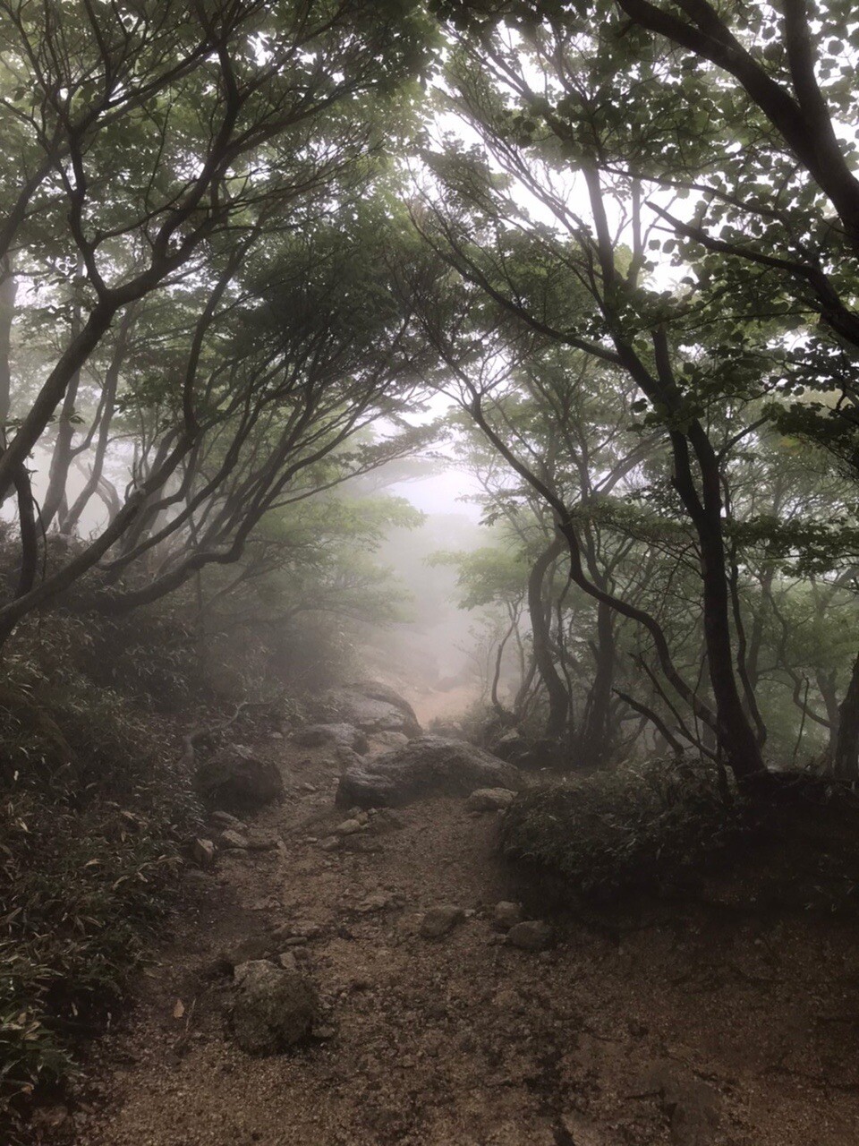 国見岳・御在所岳(ロープウェイ利用) / Takakoさんのハイキングの活動データ | YAMAP / ヤマップ