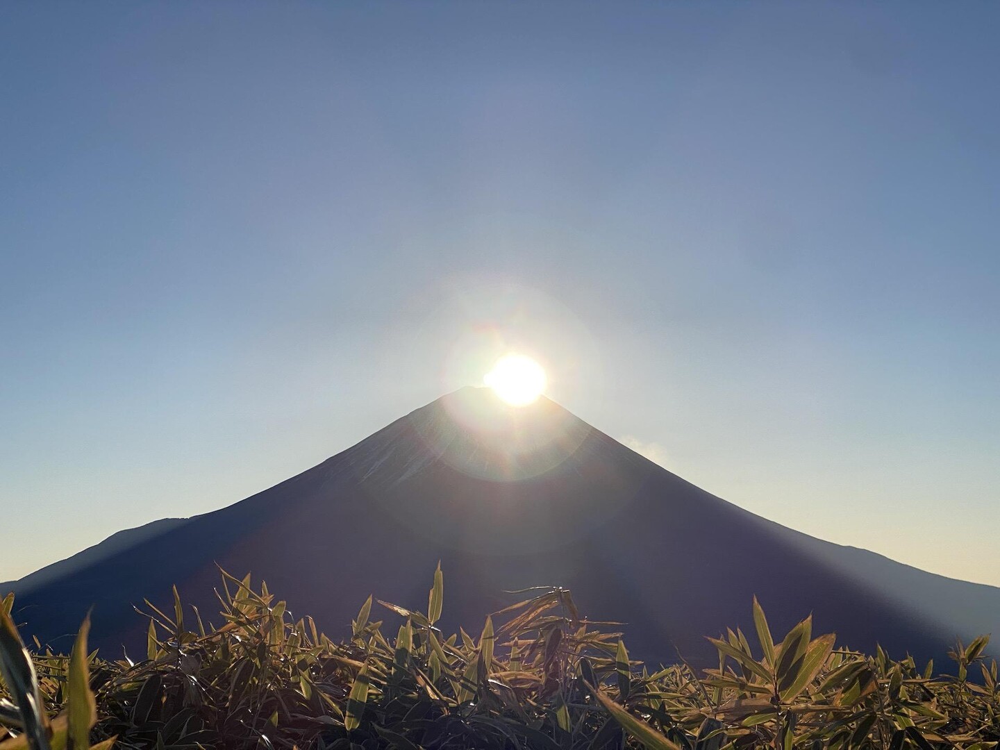 竜ヶ岳（ダイヤモンド富士） / Mariさんの毛無山・雨ヶ岳・竜ヶ岳の活動データ | YAMAP / ヤマップ
