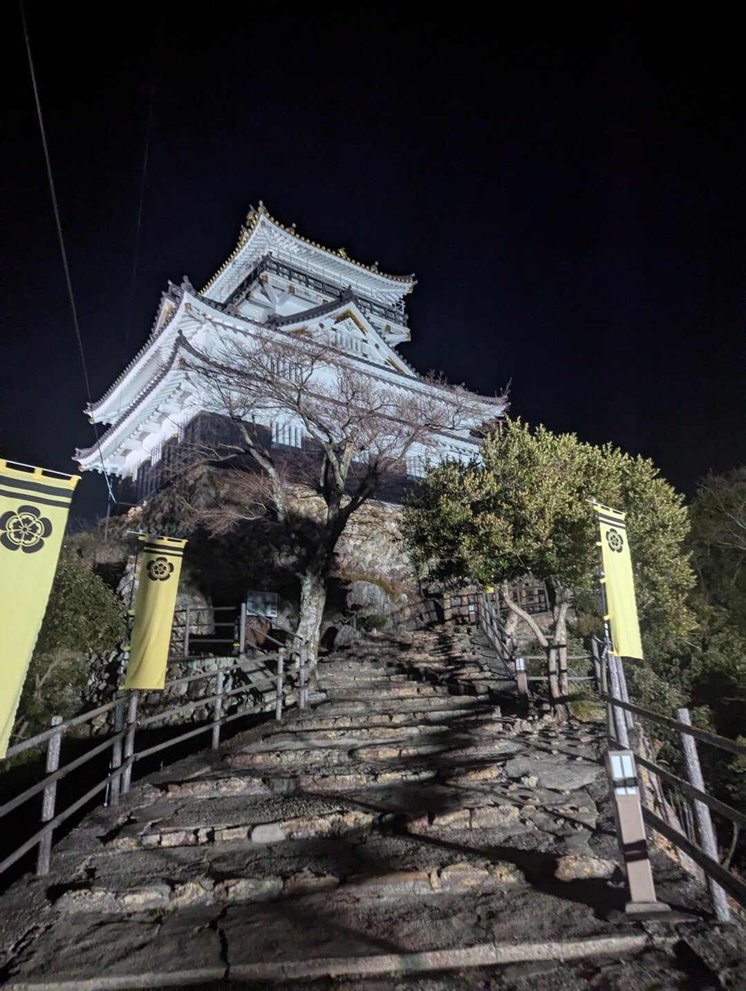 勝手に金華山TT 4（リハビリ） / みっちゅさんの金華山・洞山・舟伏山の活動データ | YAMAP / ヤマップ