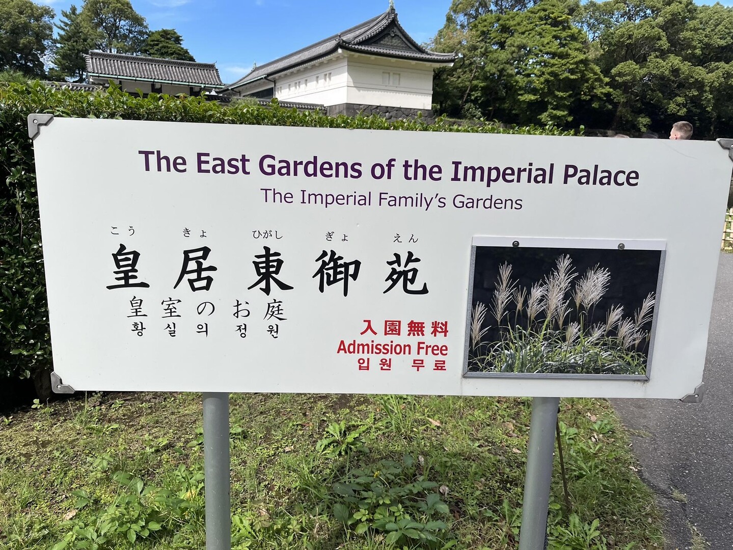 天海祐希さん主演 レイディマクベスを観て... / うめゆさんのモーメント | YAMAP / ヤマップ