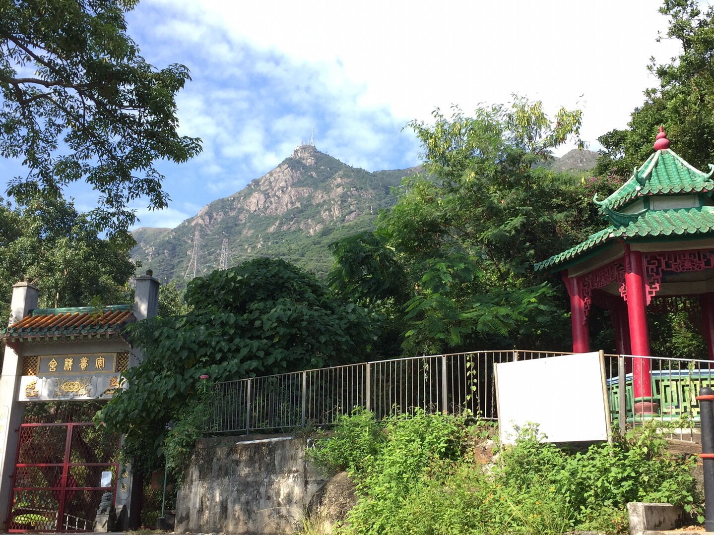 20201018 青山 / Eno-chanさんのマクリホース・トレイルの活動データ | YAMAP / ヤマップ