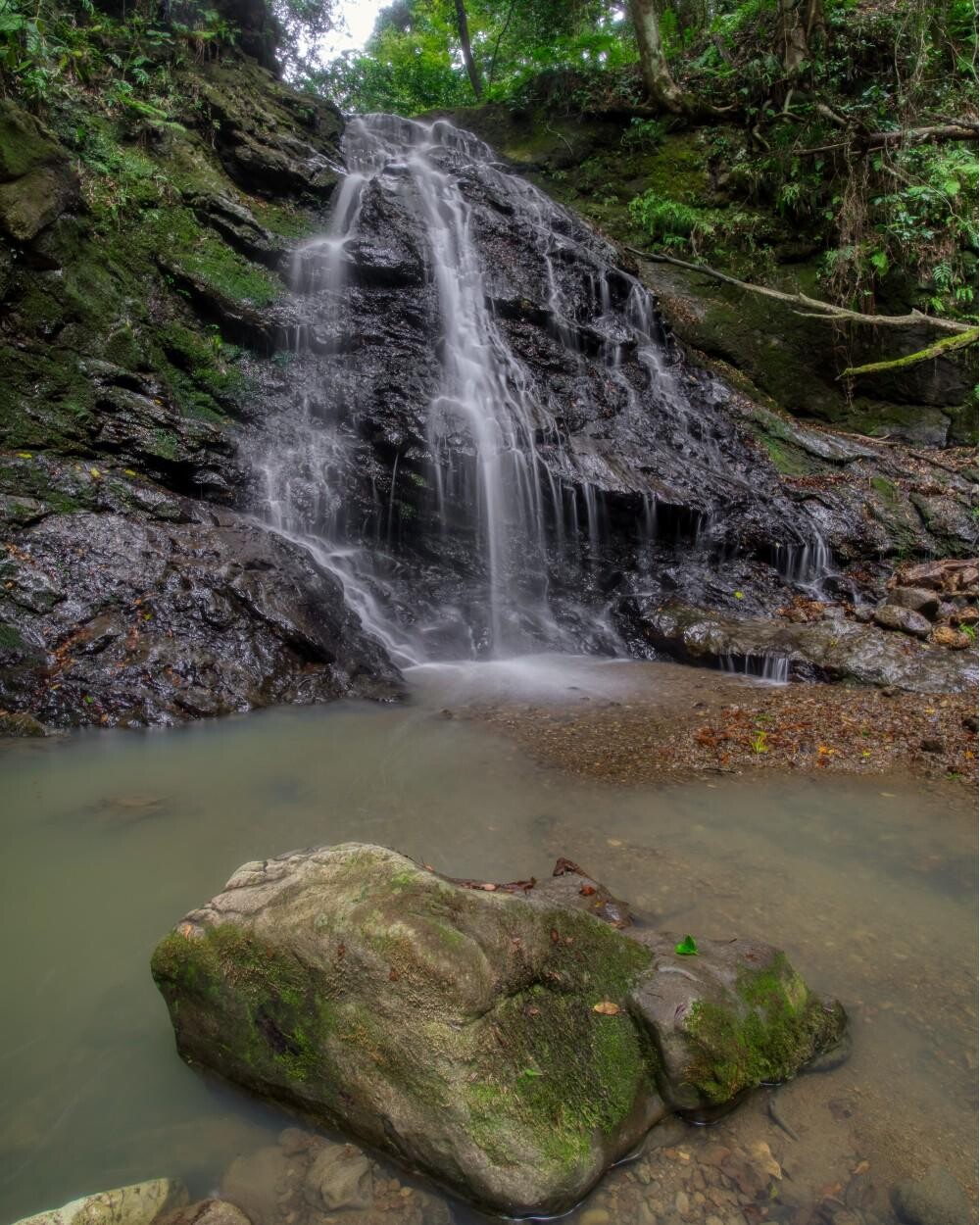 川上大滝、外野不動滝（千葉県南房総市） ... / ケロさんのモーメント | YAMAP / ヤマップ