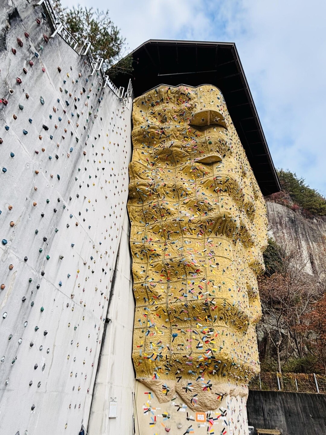 ｢Creep｣星田連山(低山巡り) / Yasさんの交野山・国見山の活動データ | YAMAP / ヤマップ