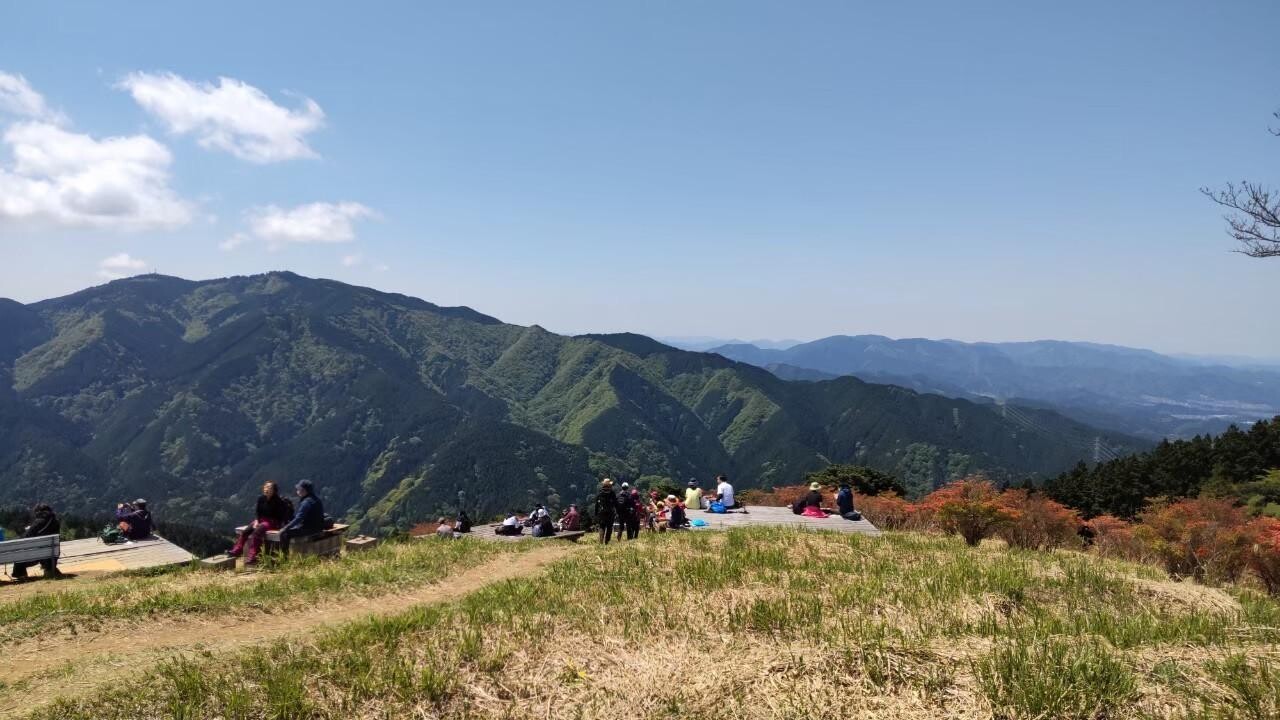 2022/5/3 葛城山 『ヤマツツジ』... / kokeさんのモーメント | YAMAP / ヤマップ