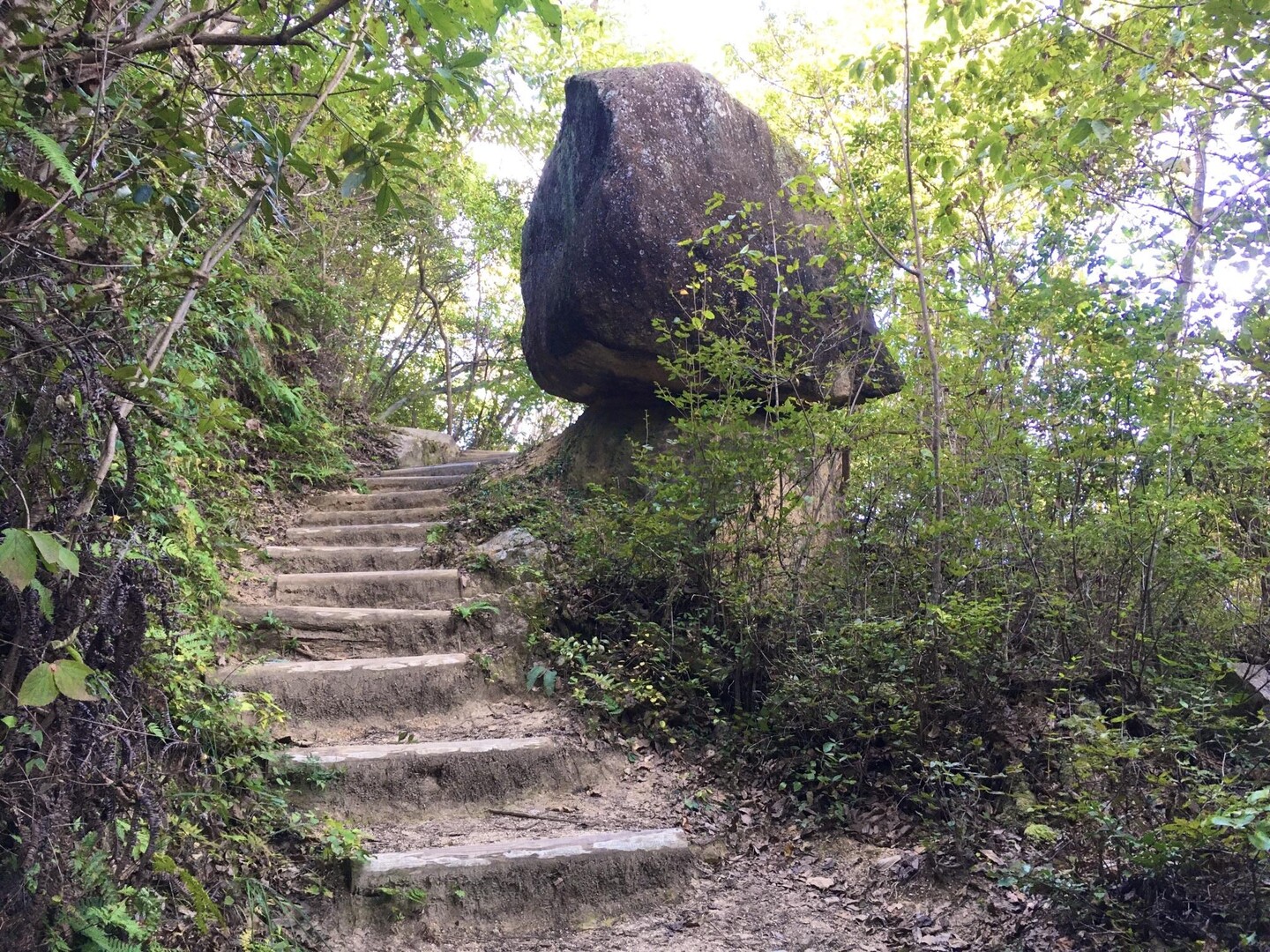 福山 2023-10-13 / kameさんの福山・江田山・高鳥居山の活動データ | YAMAP / ヤマップ