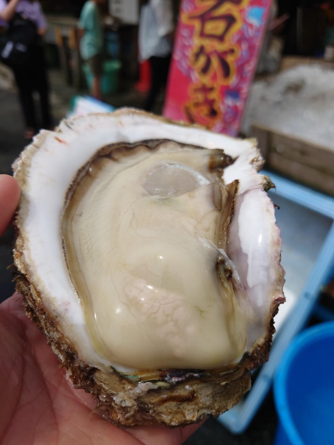 特大岩牡蠣〆 / unaさんのモーメント | YAMAP / ヤマップ