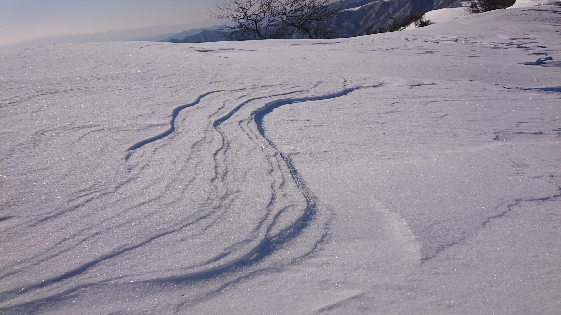 夫婦山:栃木県分県登山ガイド68座目 / zumiさんの女峰山・赤薙山・大真名子山の活動データ | YAMAP / ヤマップ