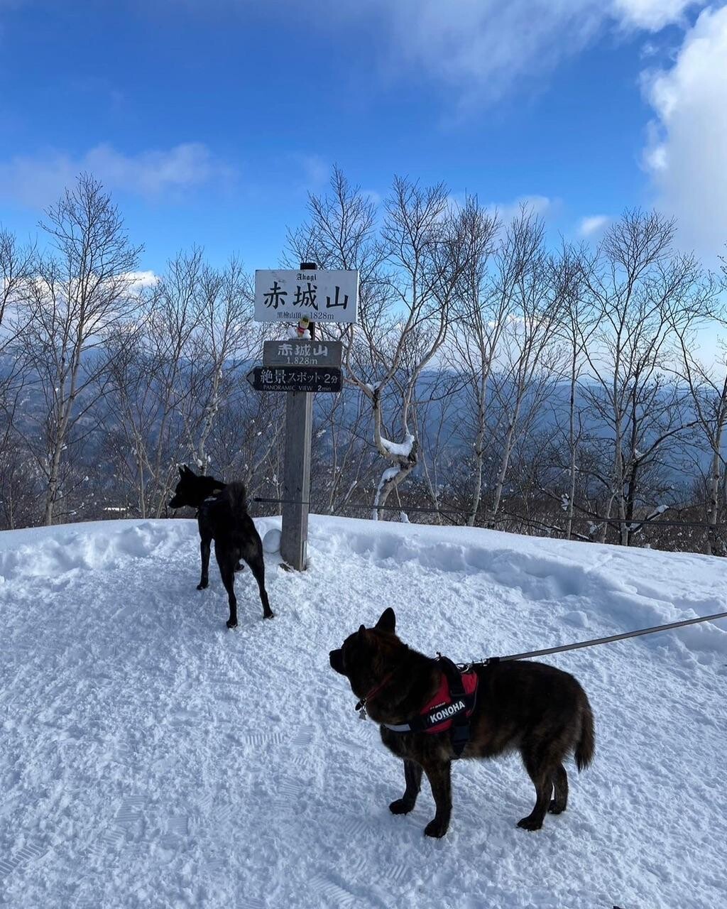 りんりん97のページ | YAMAP / ヤマップ