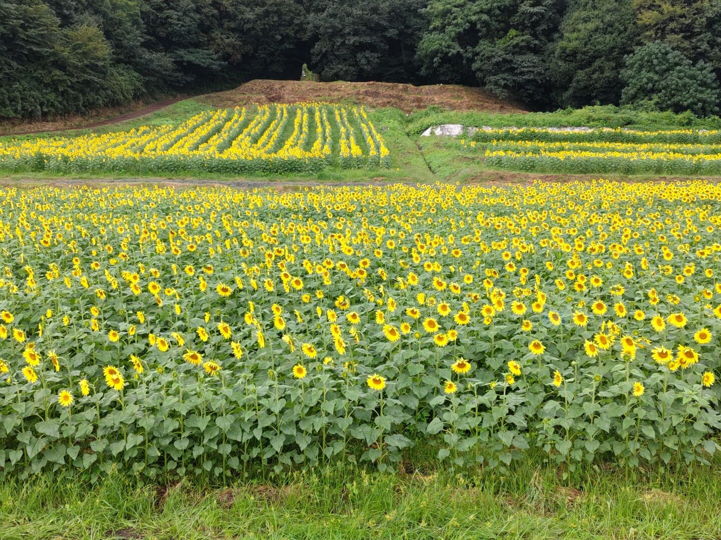 2023.10.01(日) 10:05 / ffさんのモーメント | YAMAP / ヤマップ