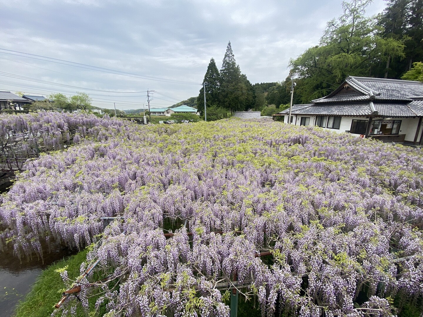 2022.04.18(月) 11:36 / シゲさんのモーメント | YAMAP / ヤマップ