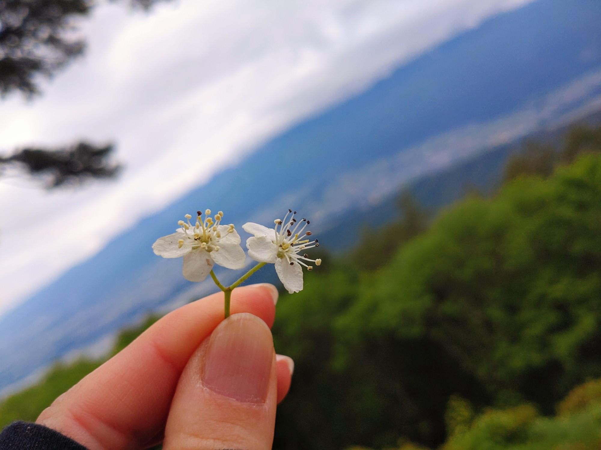高烏谷山。 / ゆうゆうさんの高烏谷山の活動データ | YAMAP / ヤマップ