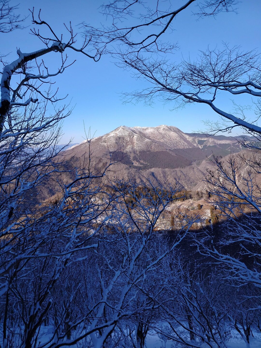 Pハンの日(6)鍋尻山・岳の畑 / palさんの霊仙山の活動データ | YAMAP / ヤマップ