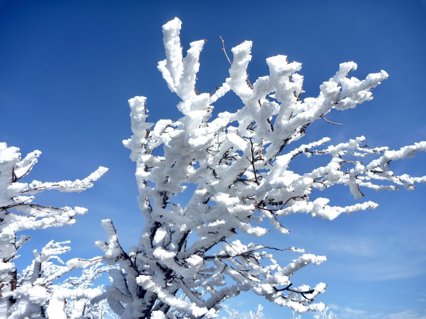 黒檜山・駒ヶ岳・篭山 / pleng86さんの赤城山・黒檜山・荒山の活動データ | YAMAP / ヤマップ