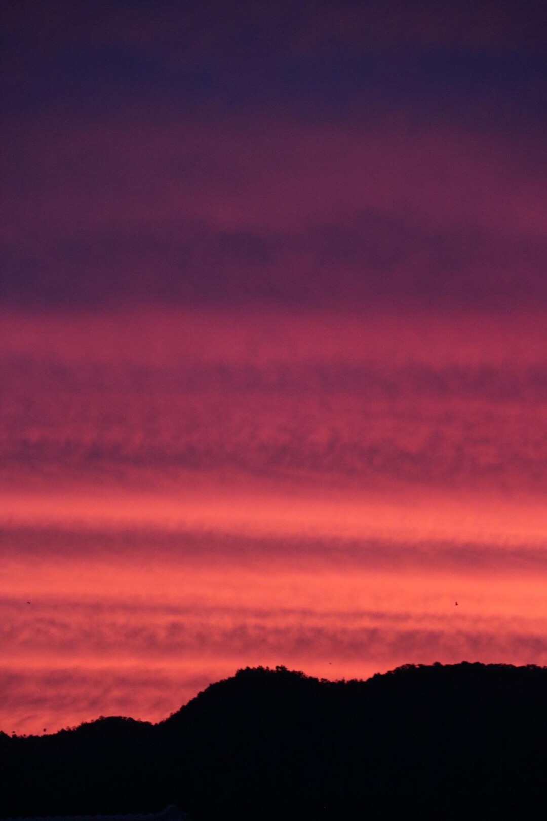 夕焼け見ました？ 凄く綺麗！でした。 久... / tataさんのモーメント | YAMAP / ヤマップ