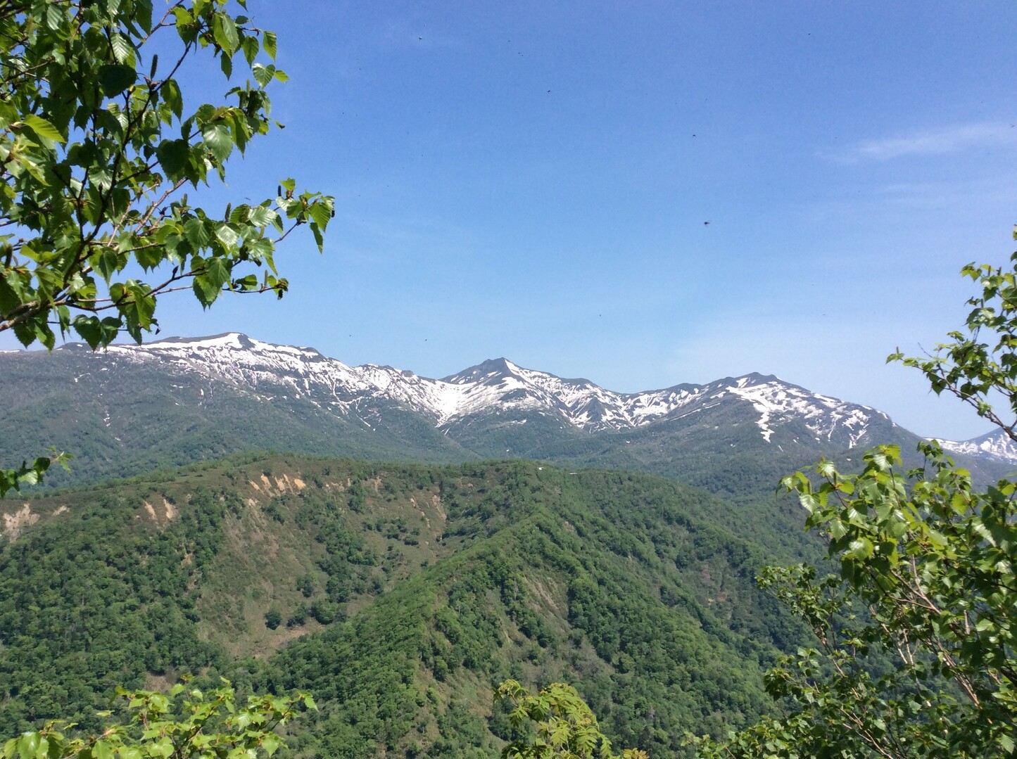 あと一歩が、、、 / Michiyoさんの黄金山の活動データ | YAMAP / ヤマップ