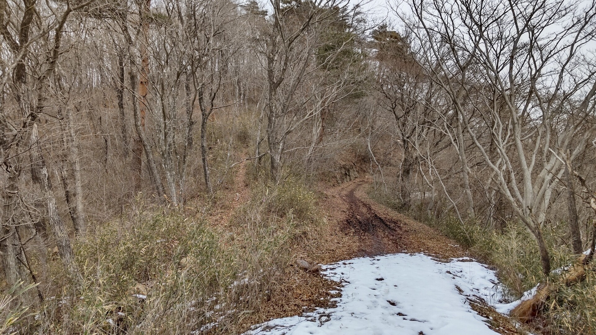 yoshiki🤗さんの投稿したフィールドメモ | YAMAP / ヤマップ