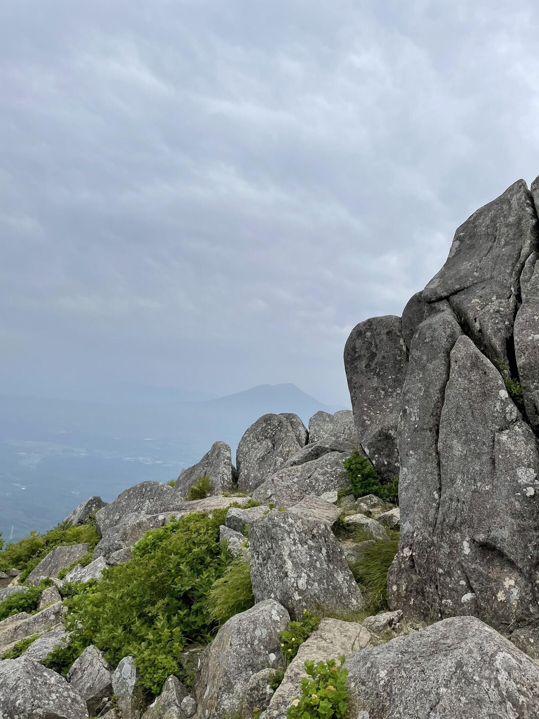 姫神山⛰️田代口→一本杉 / tomomoさんの姫神山の活動データ | YAMAP / ヤマップ