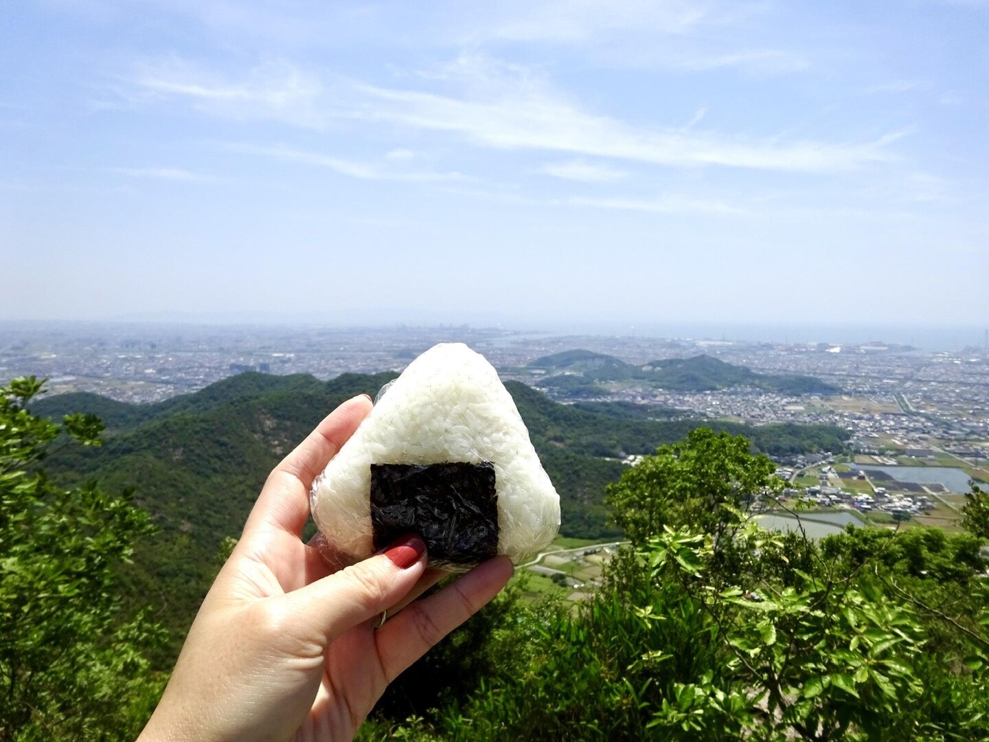高御位山(成井登山口↔︎山頂) / nonさんの高御位山・播磨アルプスの活動データ | YAMAP / ヤマップ