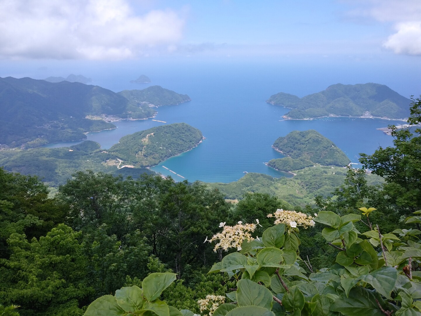 青葉山 (693m) / okeraさんの青葉山の活動日記 | YAMAP / ヤマップ