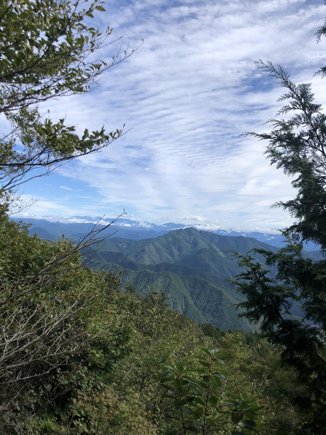 OSJ新城32K 逆回り / pandaさんの宇連山・鳳来寺山・岩古谷山の活動データ | YAMAP / ヤマップ