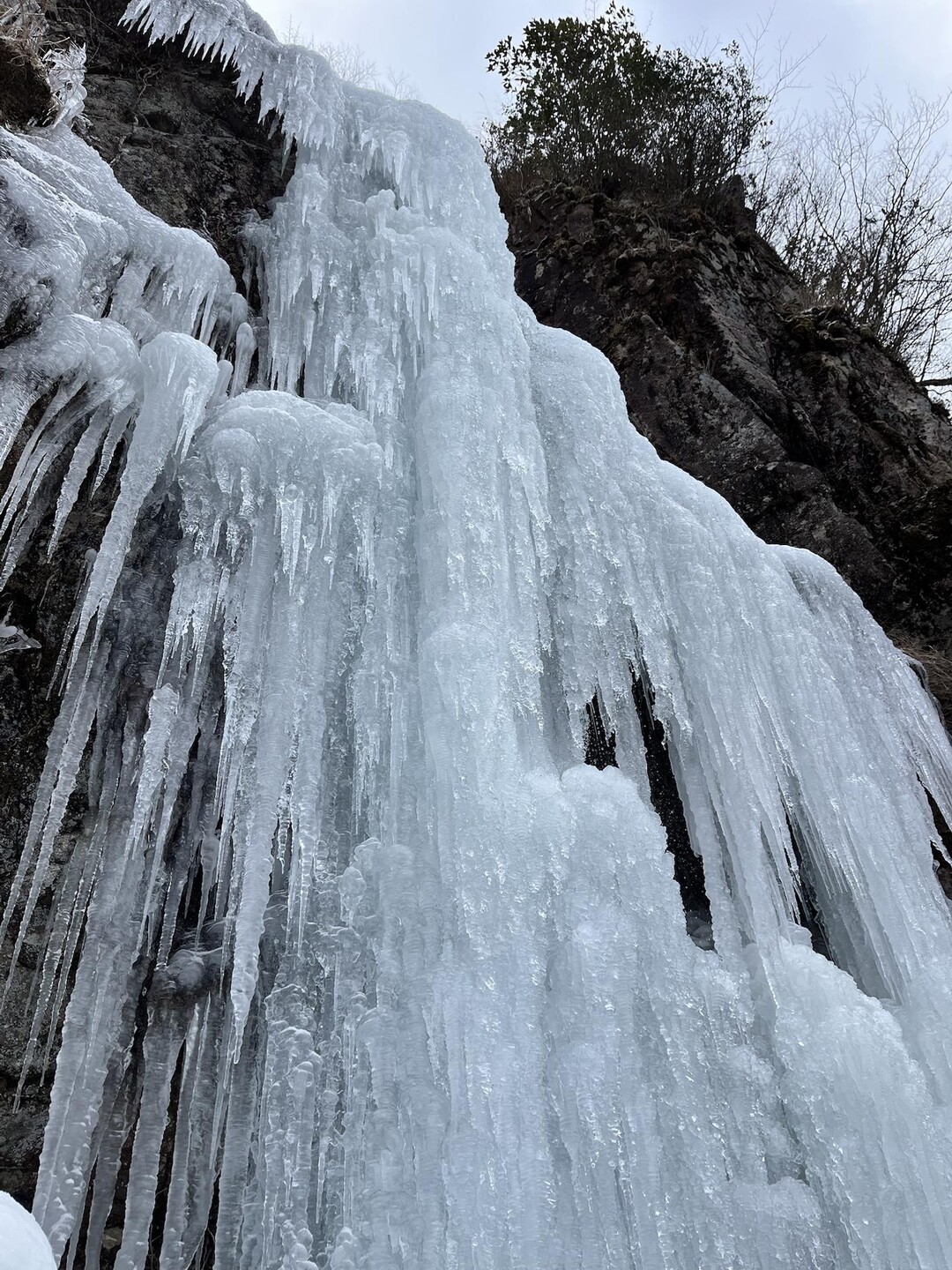 今季2度目の難所ヶ滝へ 朝は昭和の森の... / ayaka-Kさんのモーメント | YAMAP / ヤマップ
