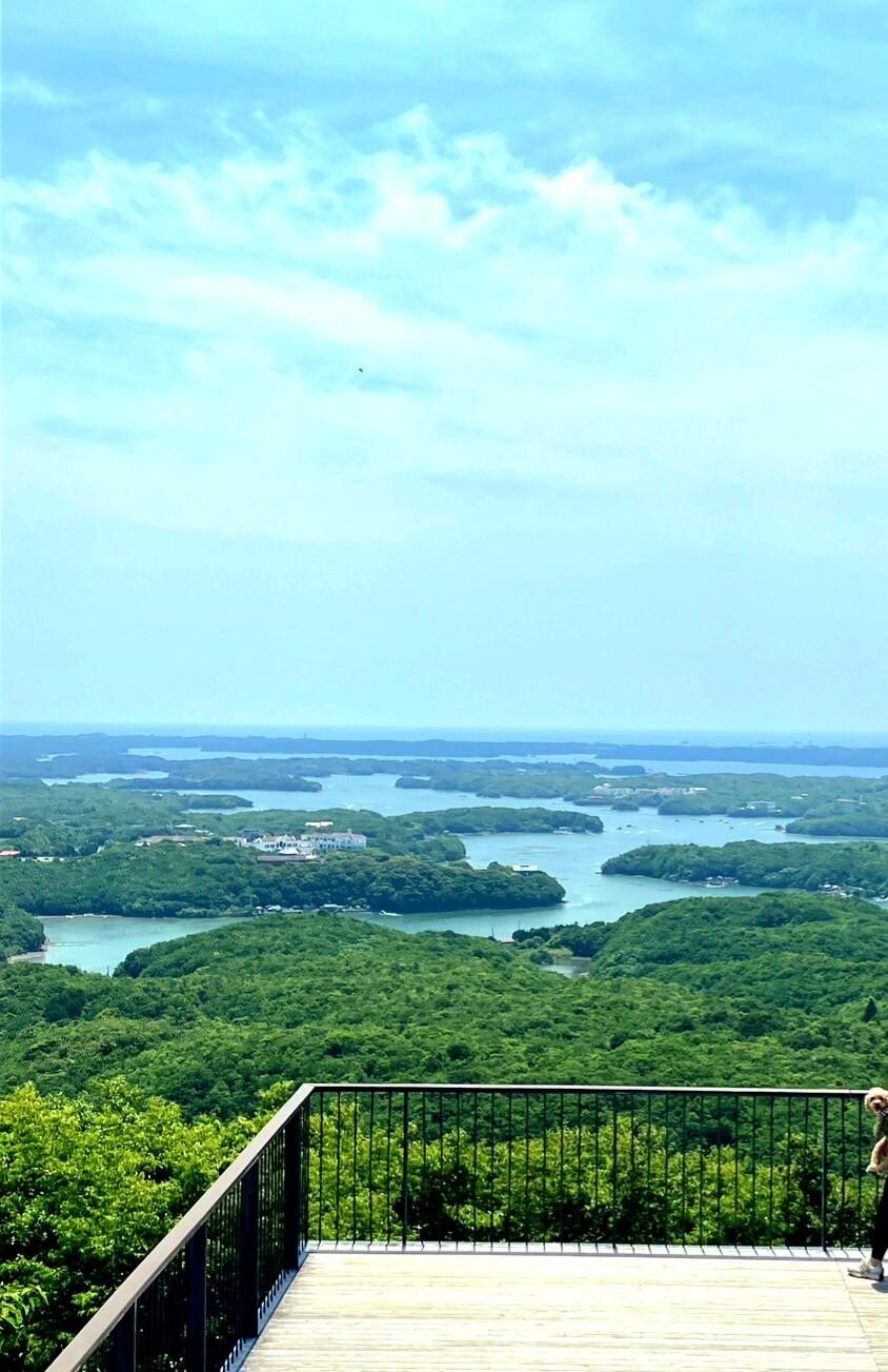 横山・迫子浅間山 / 🍑TOMOMO🍑さんの横山の活動データ | YAMAP / ヤマップ