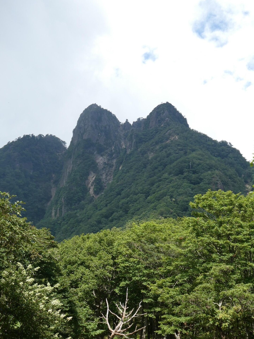 傾山 / kinjunさんの傾山の活動データ | YAMAP / ヤマップ