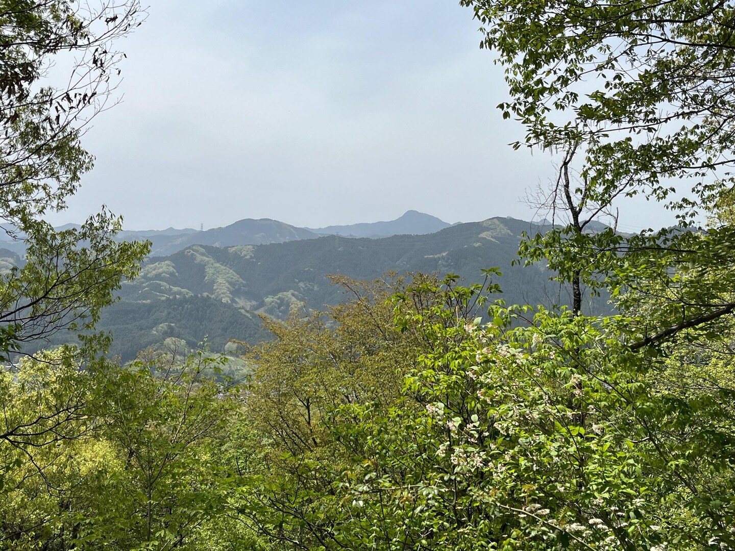 青梅丘陵 (軍畑駅〜榎峠登山口〜雷電山〜辛垣山〜三方山〜矢倉台〜青梅駅) / chibiさんの高水山・岩茸石山・惣岳山の活動データ | YAMAP / ヤマップ
