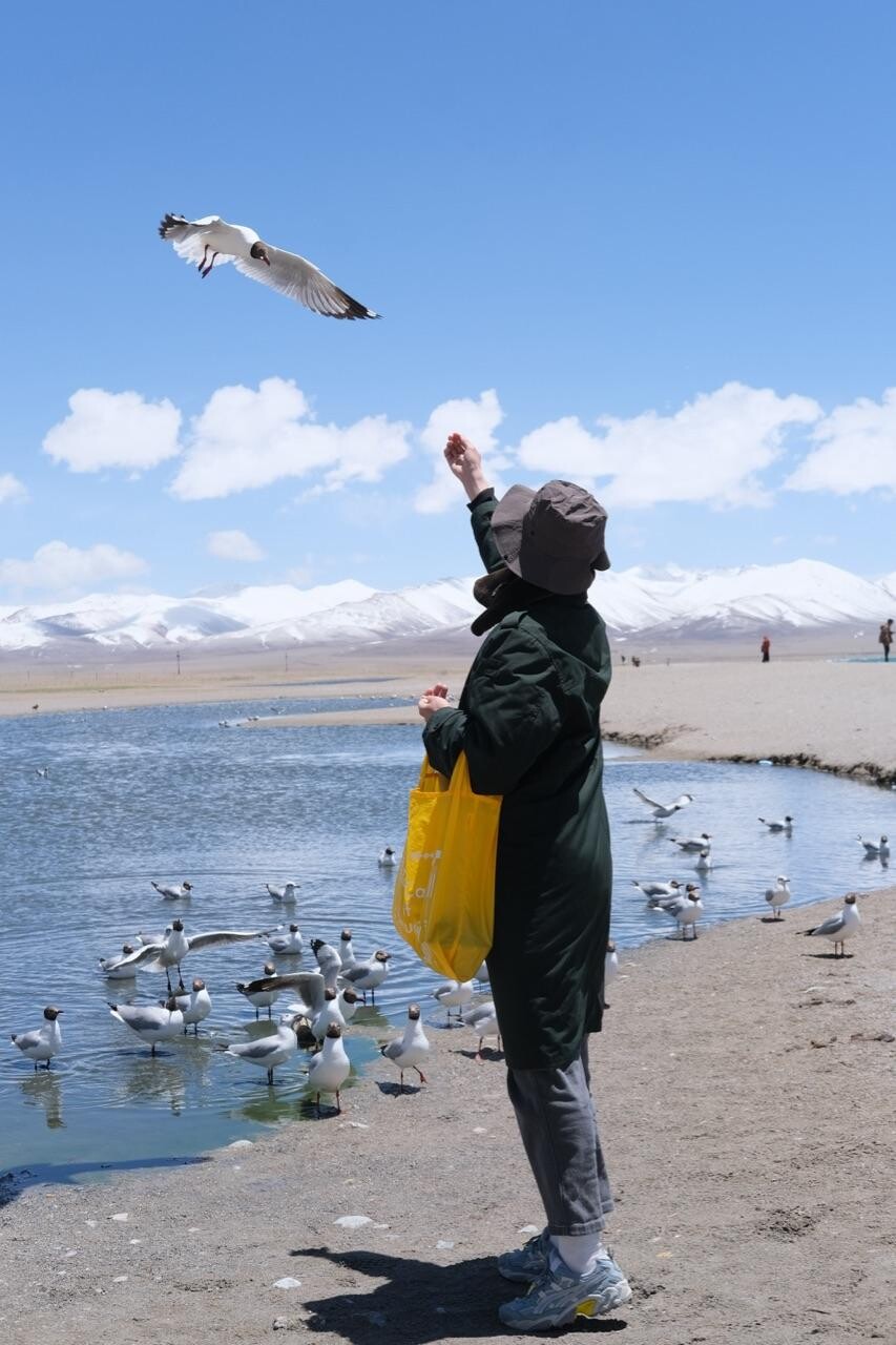 teiiiineのページ | YAMAP / ヤマップ