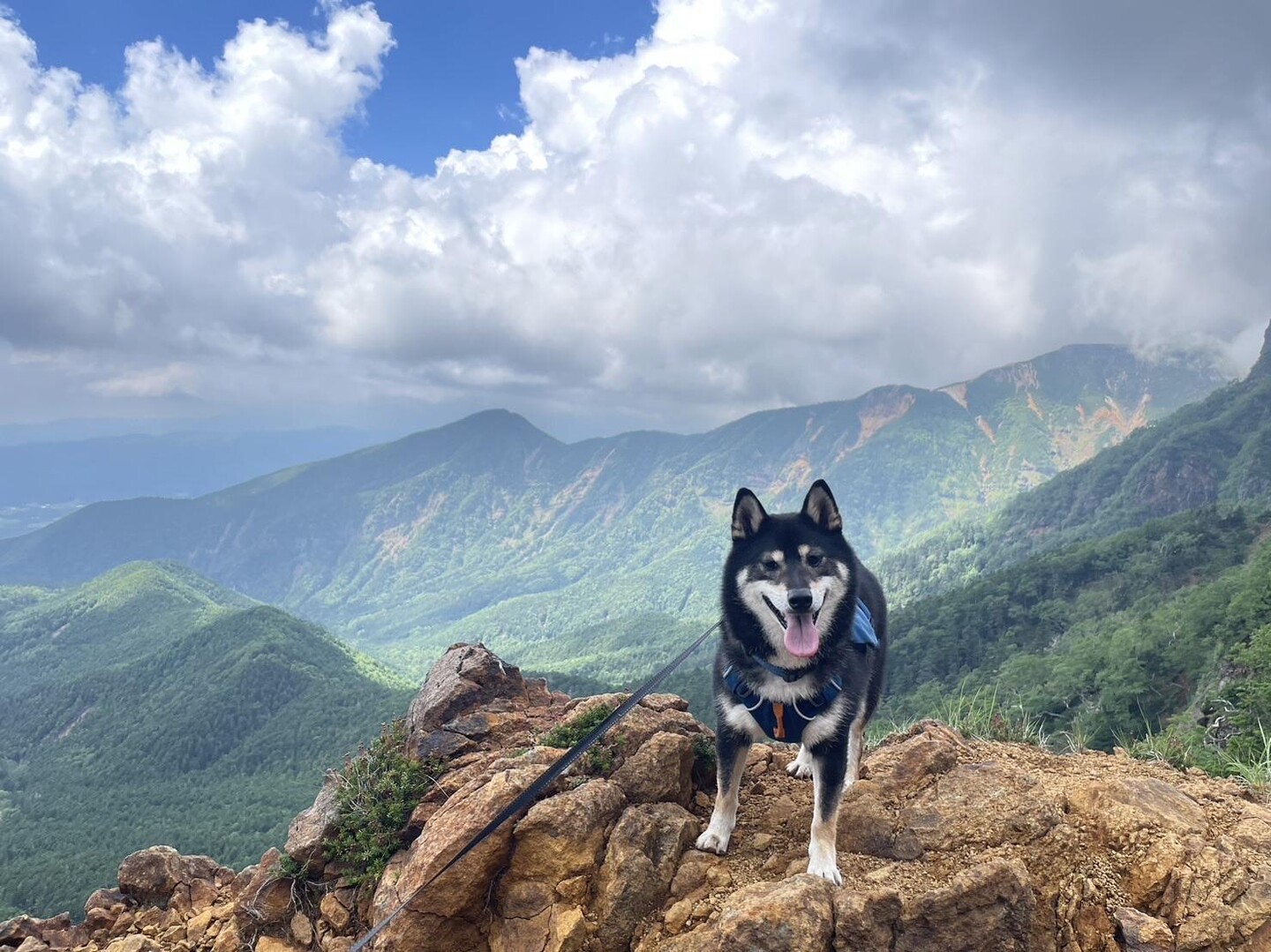 八ヶ岳行って来ました https://y... / Corchanさんのモーメント | YAMAP / ヤマップ