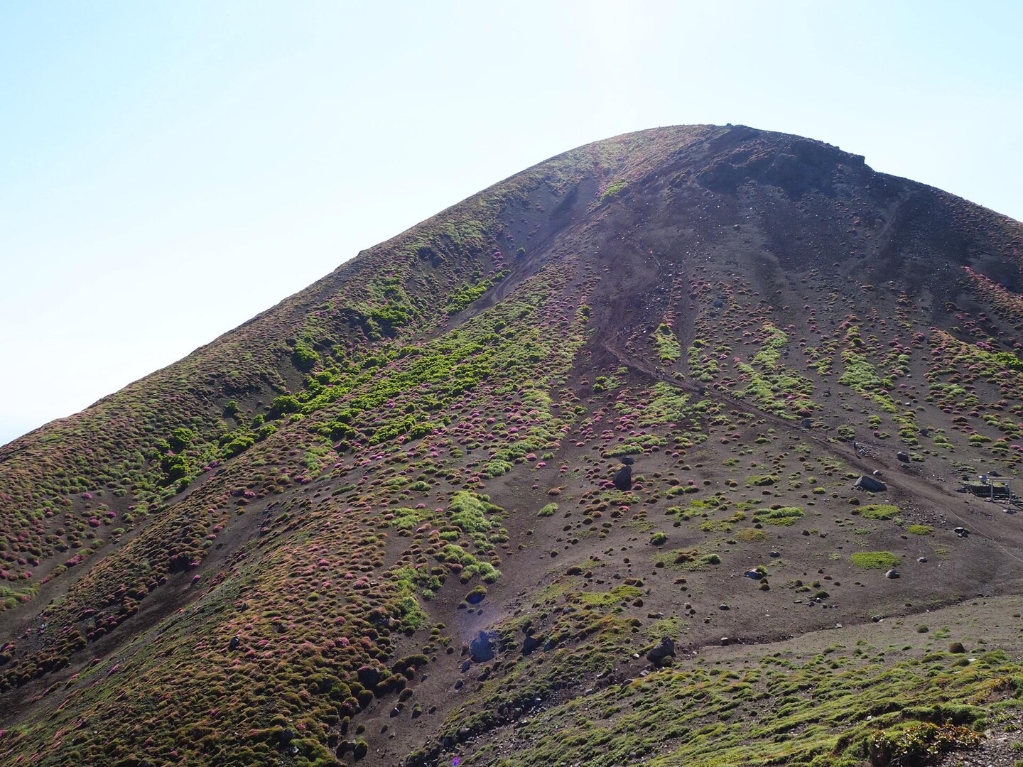 御鉢・高千穂峰（霧島山） / mu ☾ ໋꙳さんの霧島山・韓国岳・高千穂峰・夷守岳・烏帽子岳の活動データ | YAMAP / ヤマップ