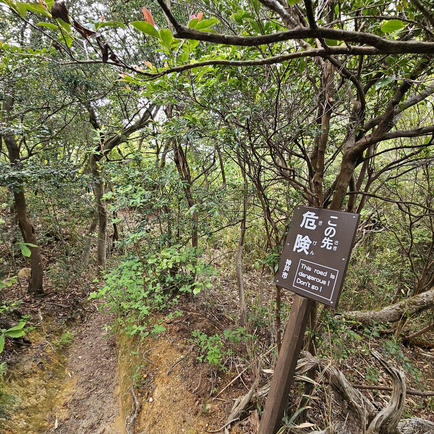 キンラン属捜索2025🥇🥈も無念・Walking on the eggshellsでYAMASTA六甲山SR2024締め括り完・東六甲縦走#5・六甲山満喫④#7-2025-05-14 ...