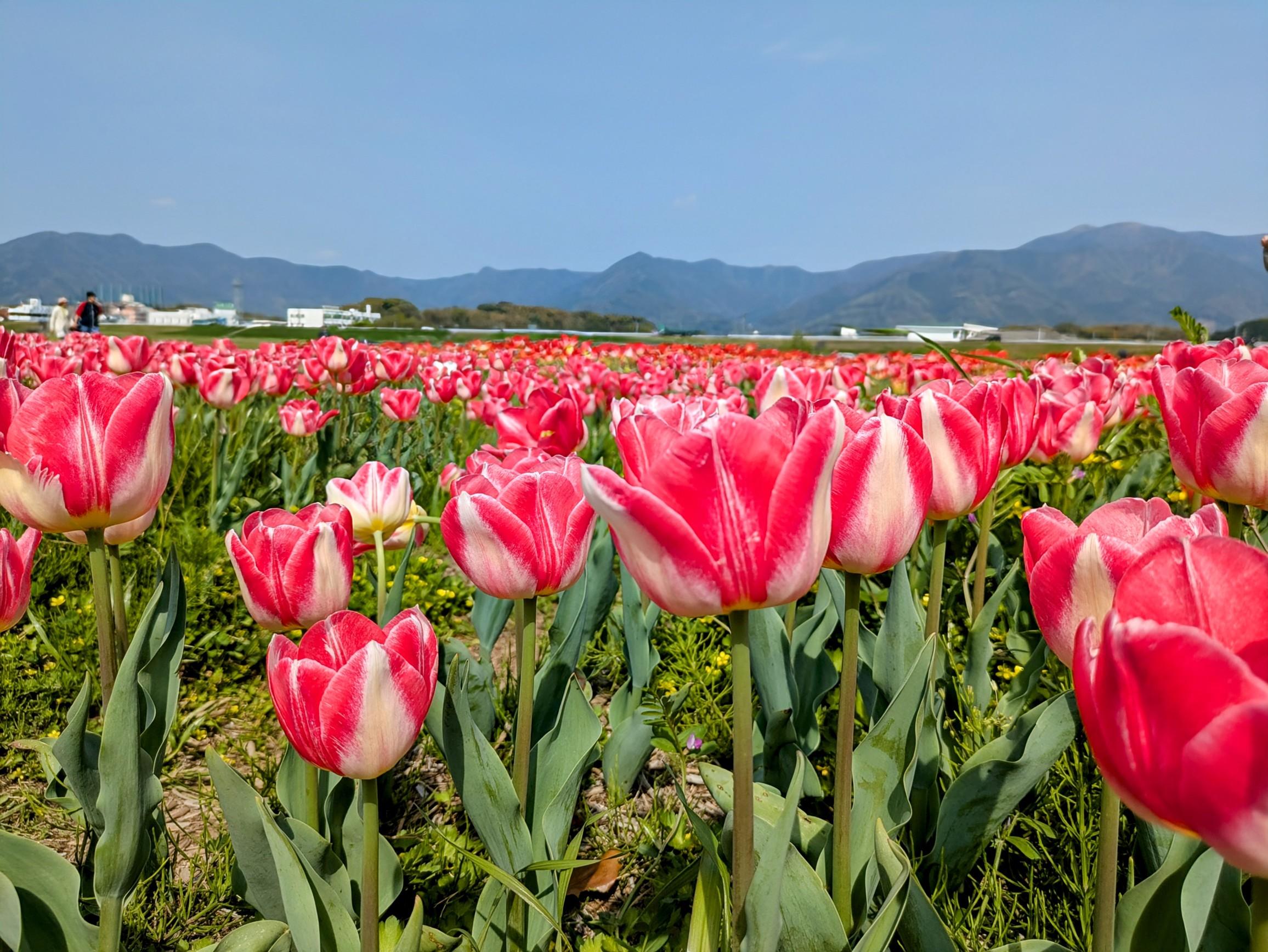 そろそろ終わりかな〜 ️ と思ったけど…... / ⭐️coco⭐️さんのモーメント | YAMAP / ヤマップ