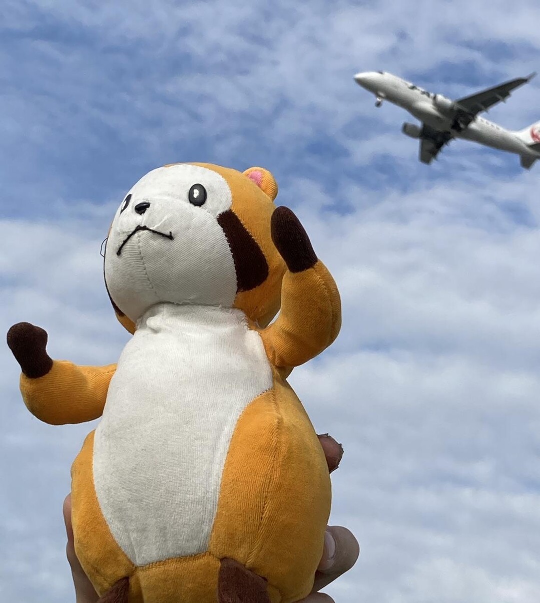 yucoさんのページ | YAMAP / ヤマップ