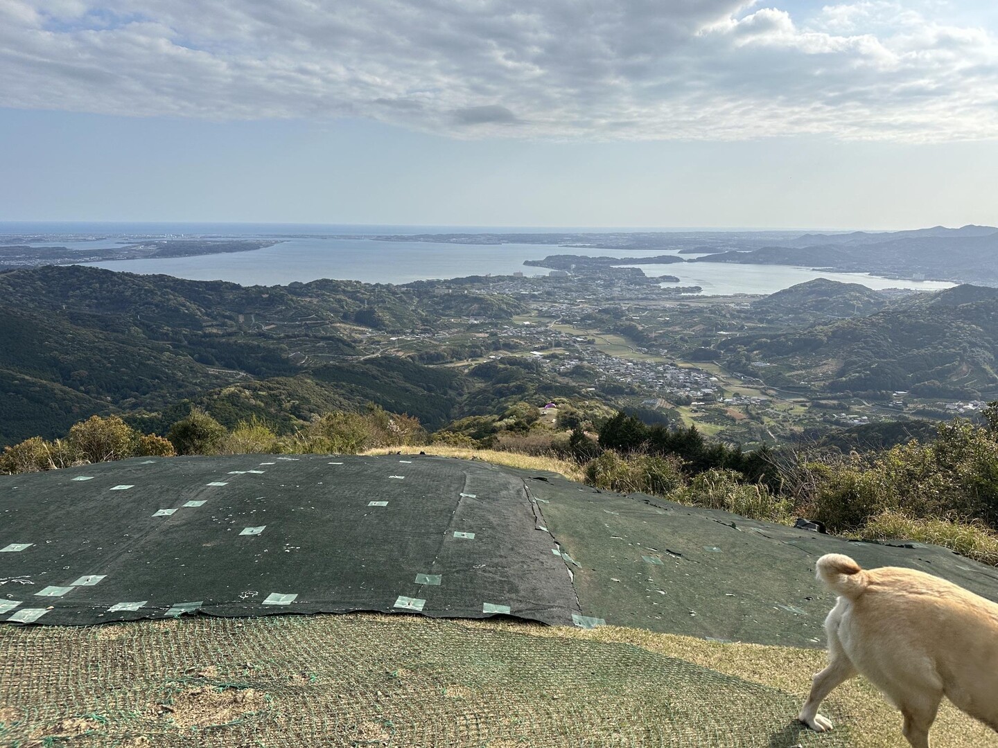 富幕山・尉ヶ峰・竜ヶ石山-2024-04-10 / GHさんの富幕山・尉ヶ峰・竜ヶ石山の活動データ | YAMAP / ヤマップ