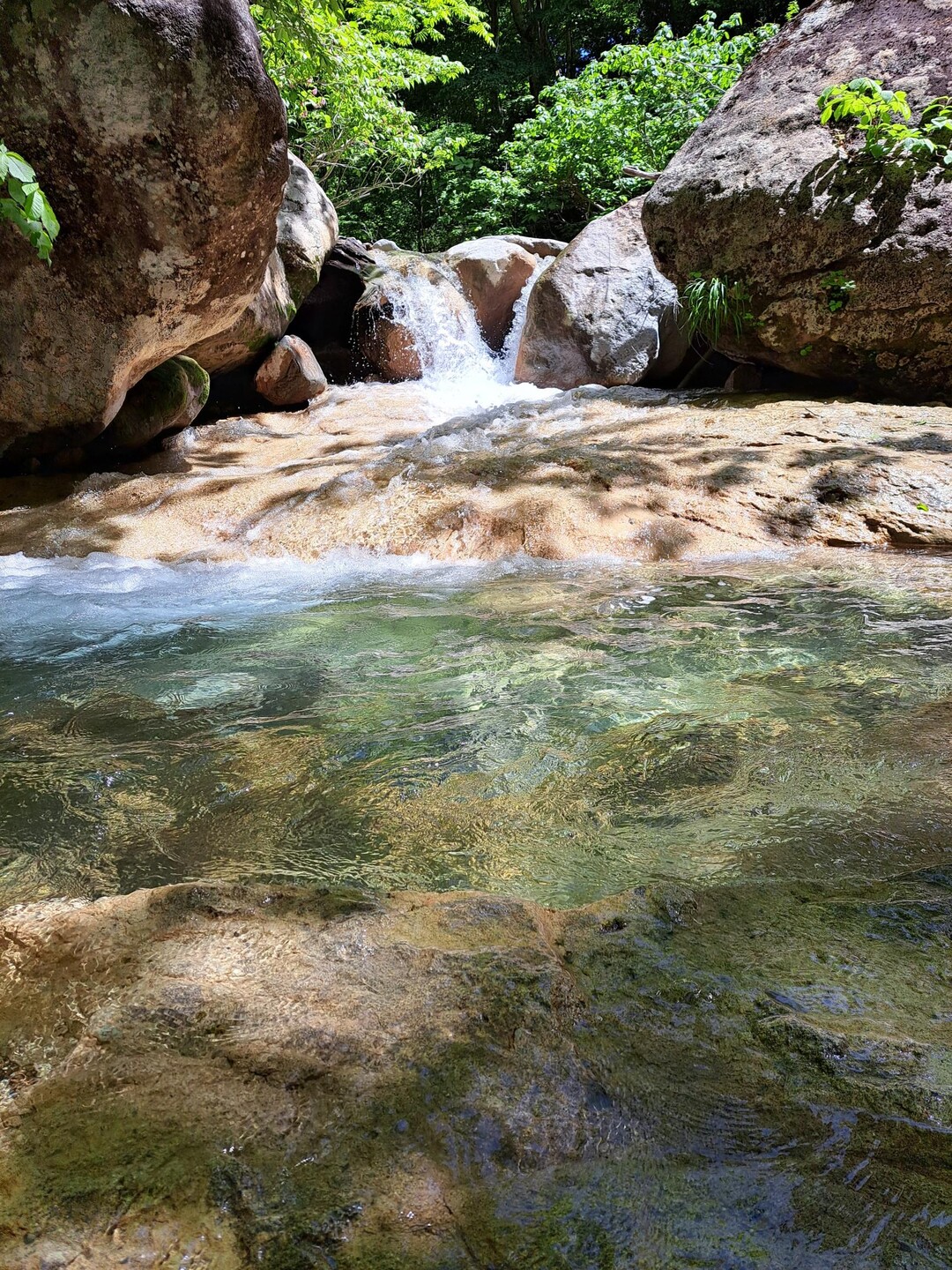 湯ノ又沢 / kco（ケーコ）さんの高松岳・山伏岳・石神山の活動データ | YAMAP / ヤマップ