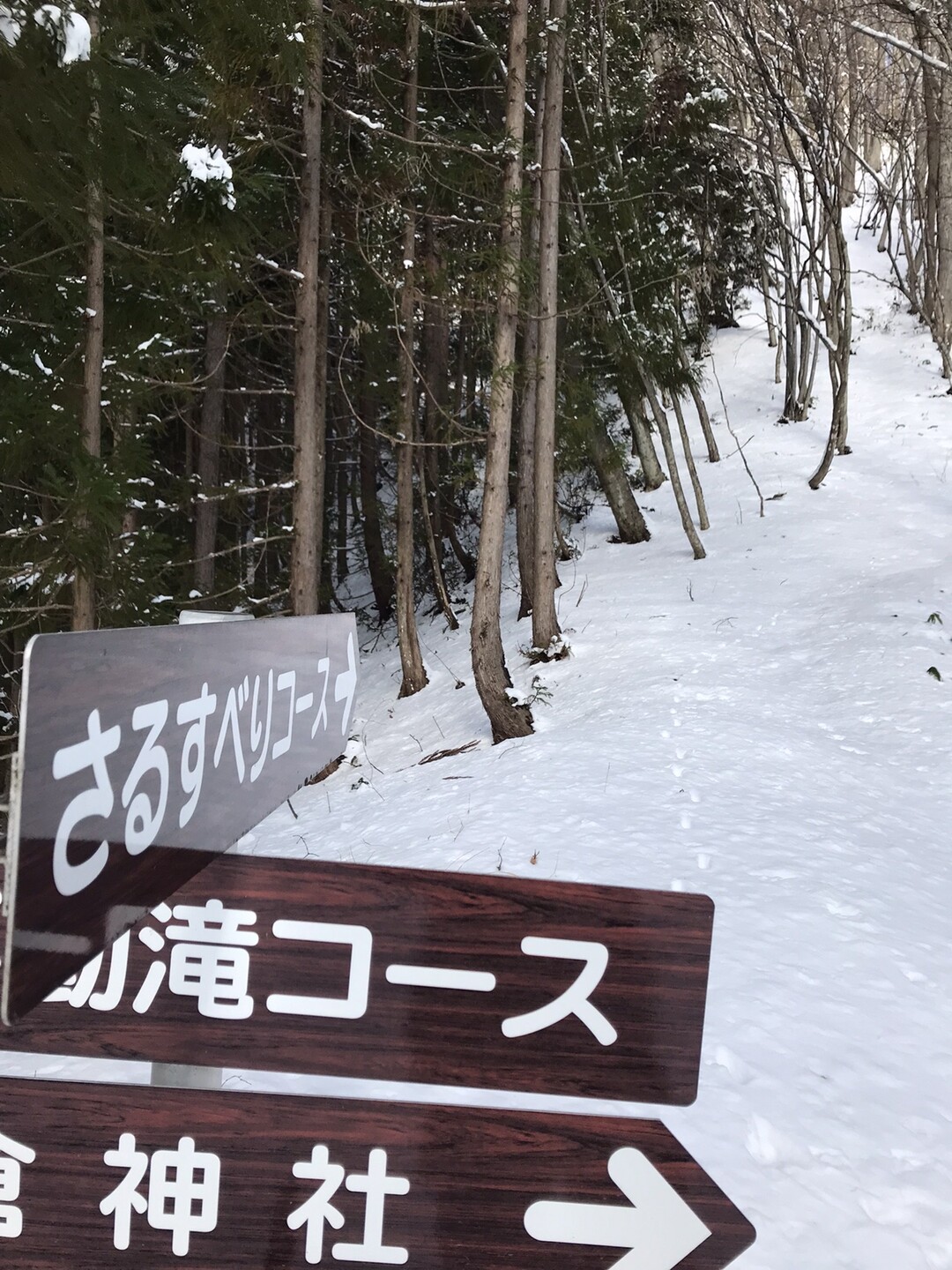 虫倉山 / TOK_KENさんさんの砂鉢山・虫倉山の活動データ | YAMAP / ヤマップ