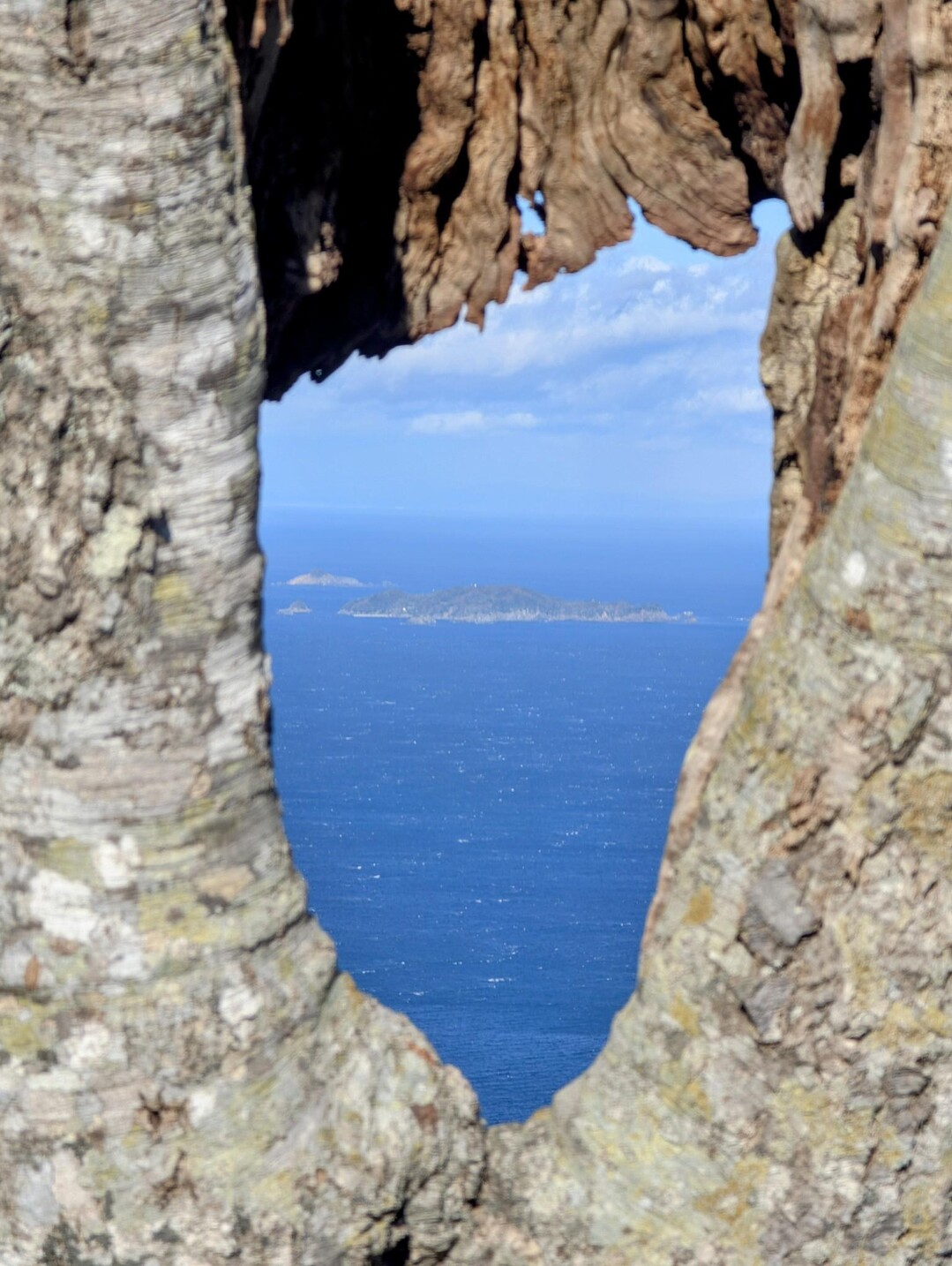 みちのく潮風トレイル Day10 鹿山・金華山 / Tatuさんの金華山・牡鹿半島の活動データ | YAMAP / ヤマップ