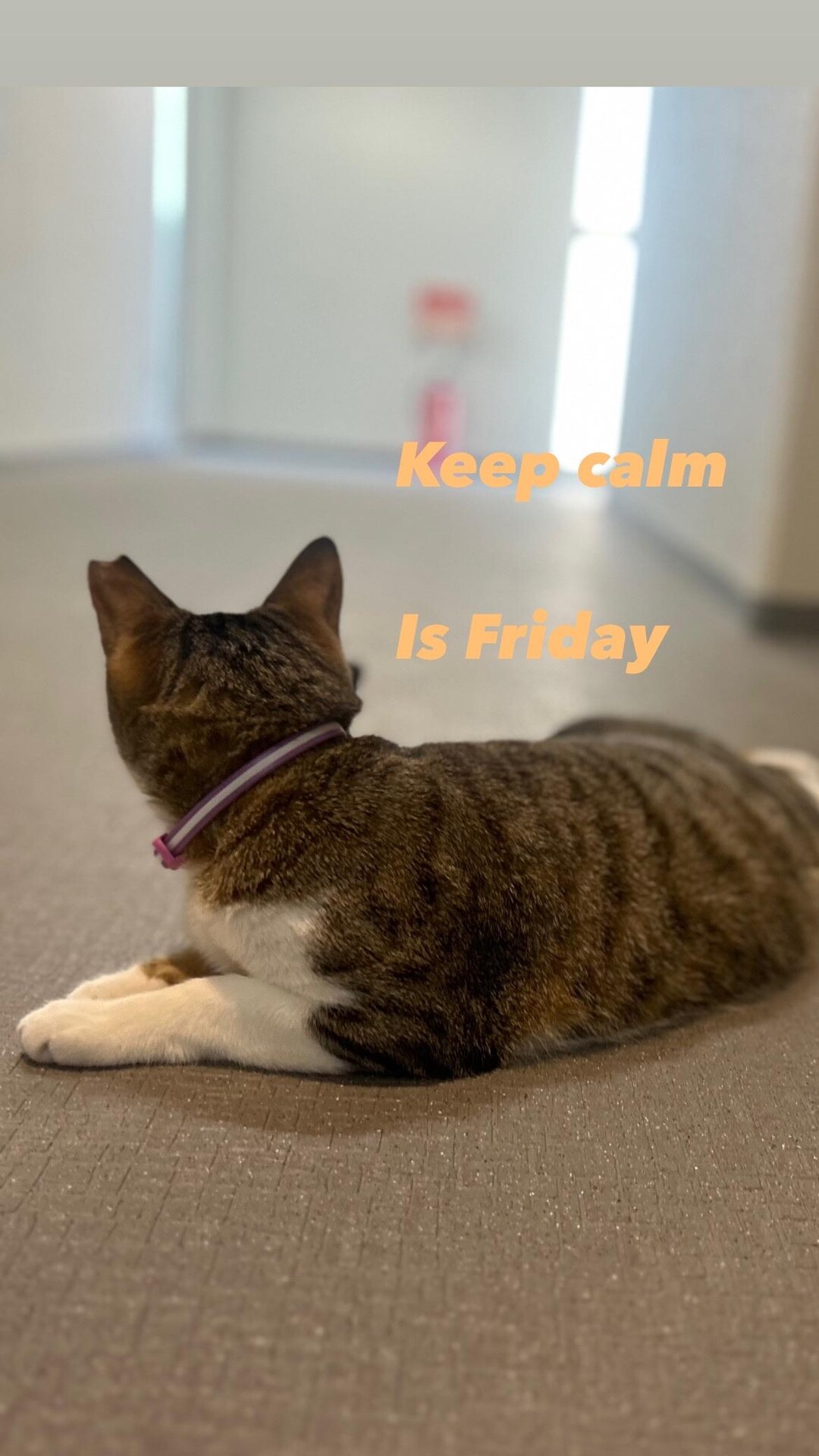 Keep Calm ☺️👍🏽 / Claudia さんのモーメント | YAMAP / ヤマップ