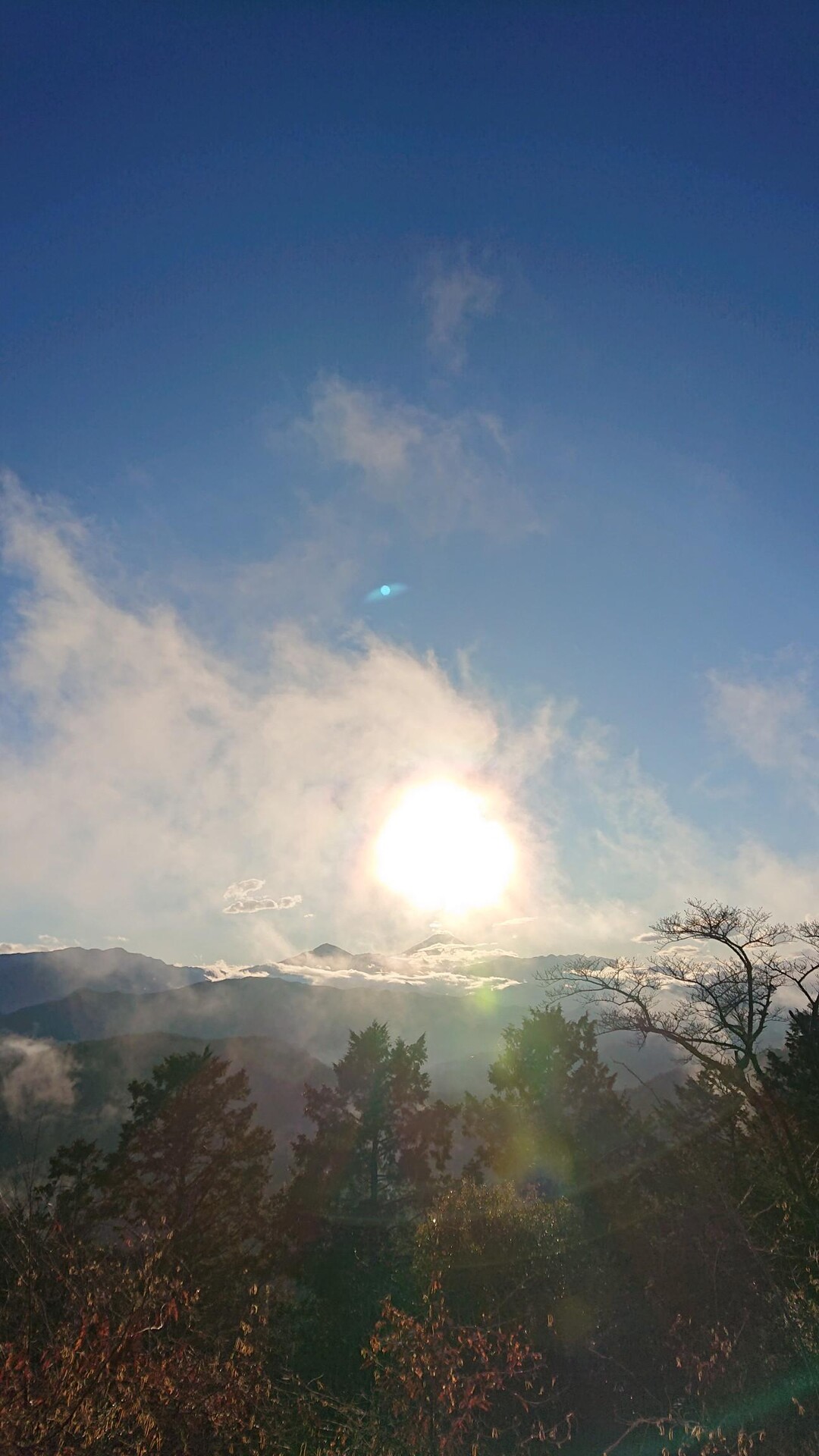 高尾山1号路↑↓ / aoさんの高尾山・陣馬山・景信山の活動データ | YAMAP / ヤマップ