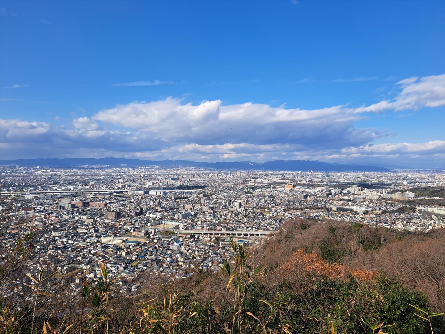 飯盛山 / お白湯さんの交野山・国見山の活動データ | YAMAP / ヤマップ