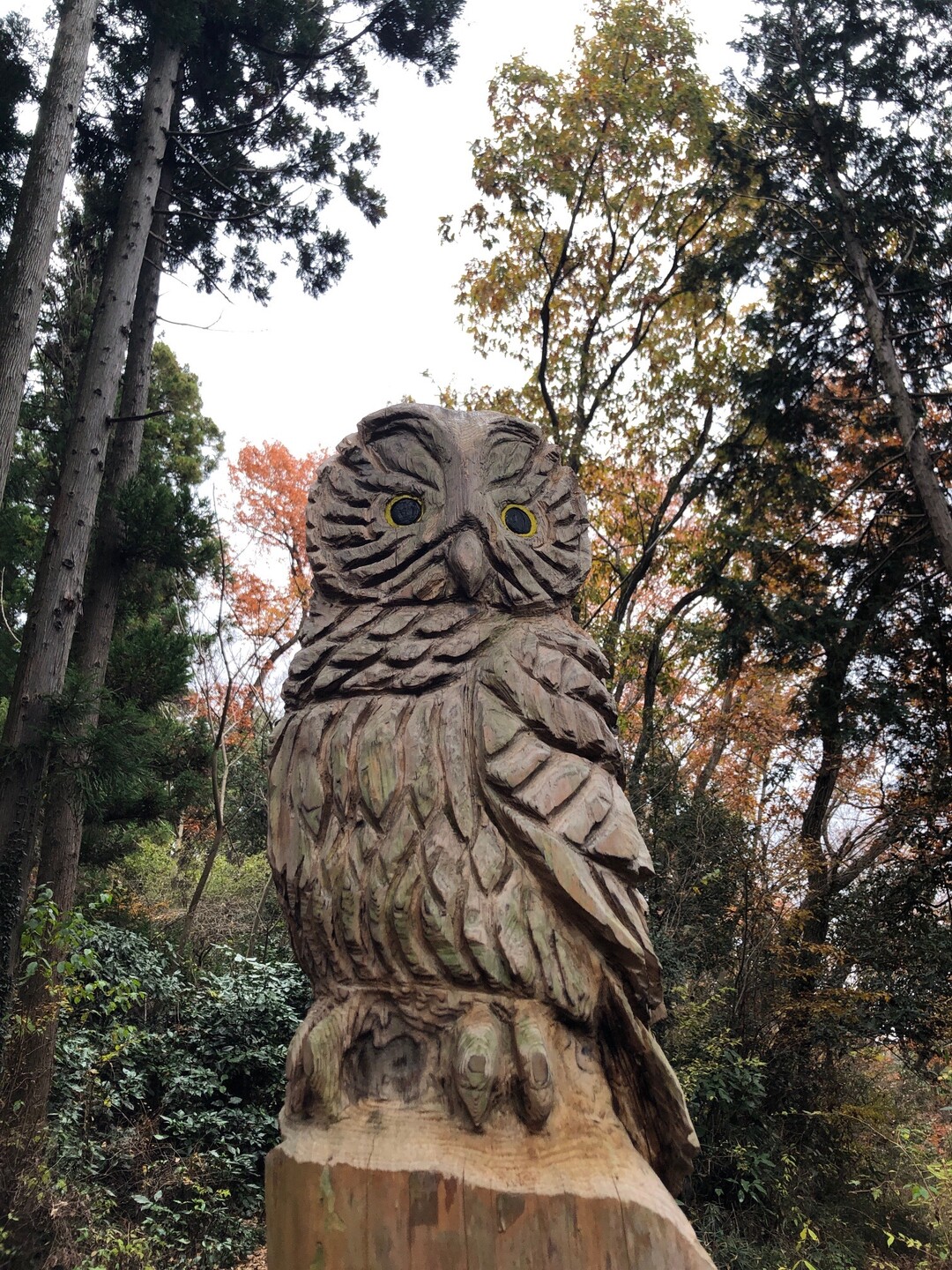 南高尾 / Kana-2ndさんの高尾山・陣馬山・景信山の活動データ | YAMAP / ヤマップ