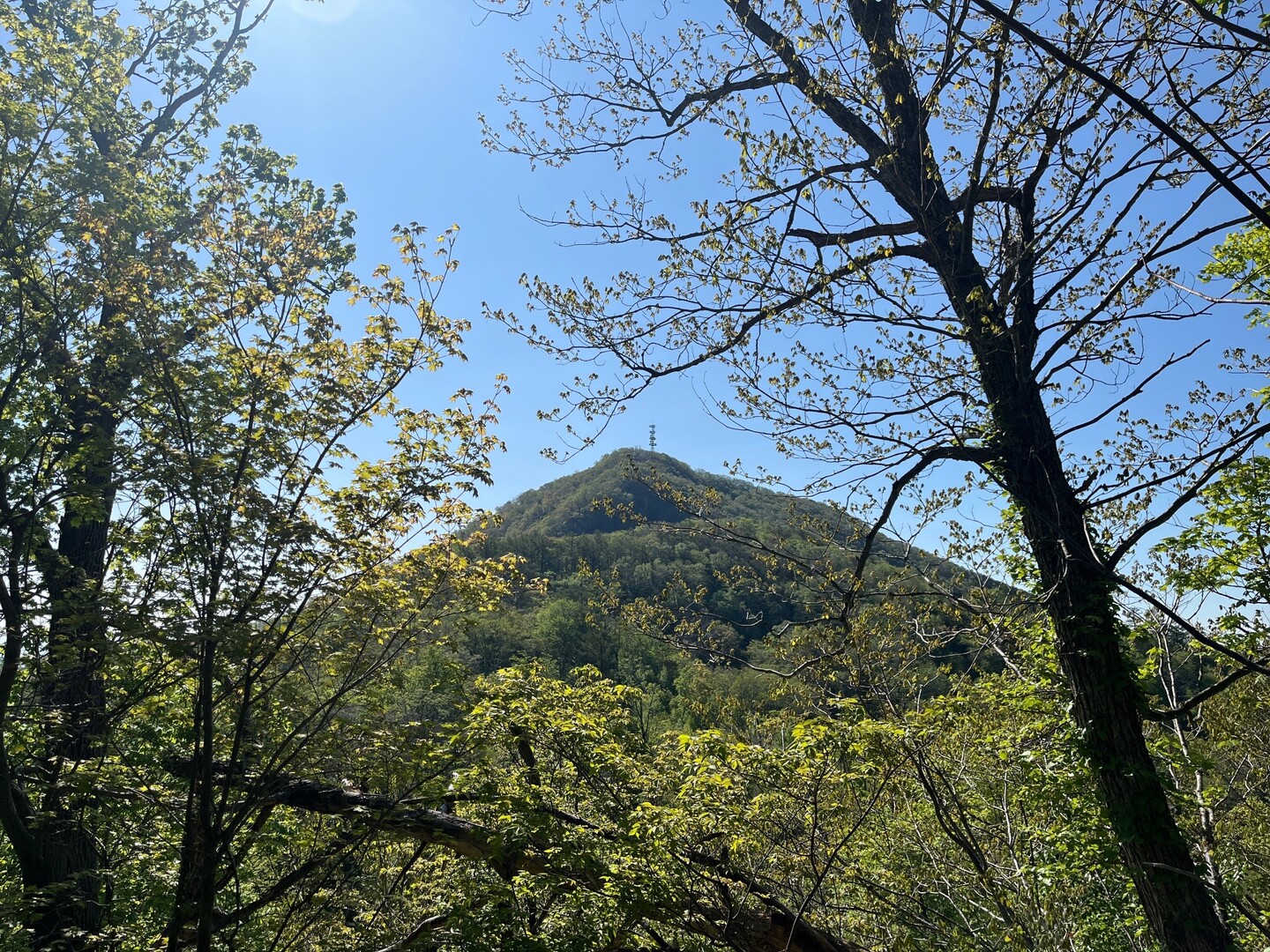 藻岩山・円山 / zect (ゼクト)さんの藻岩山の活動データ | YAMAP / ヤマップ