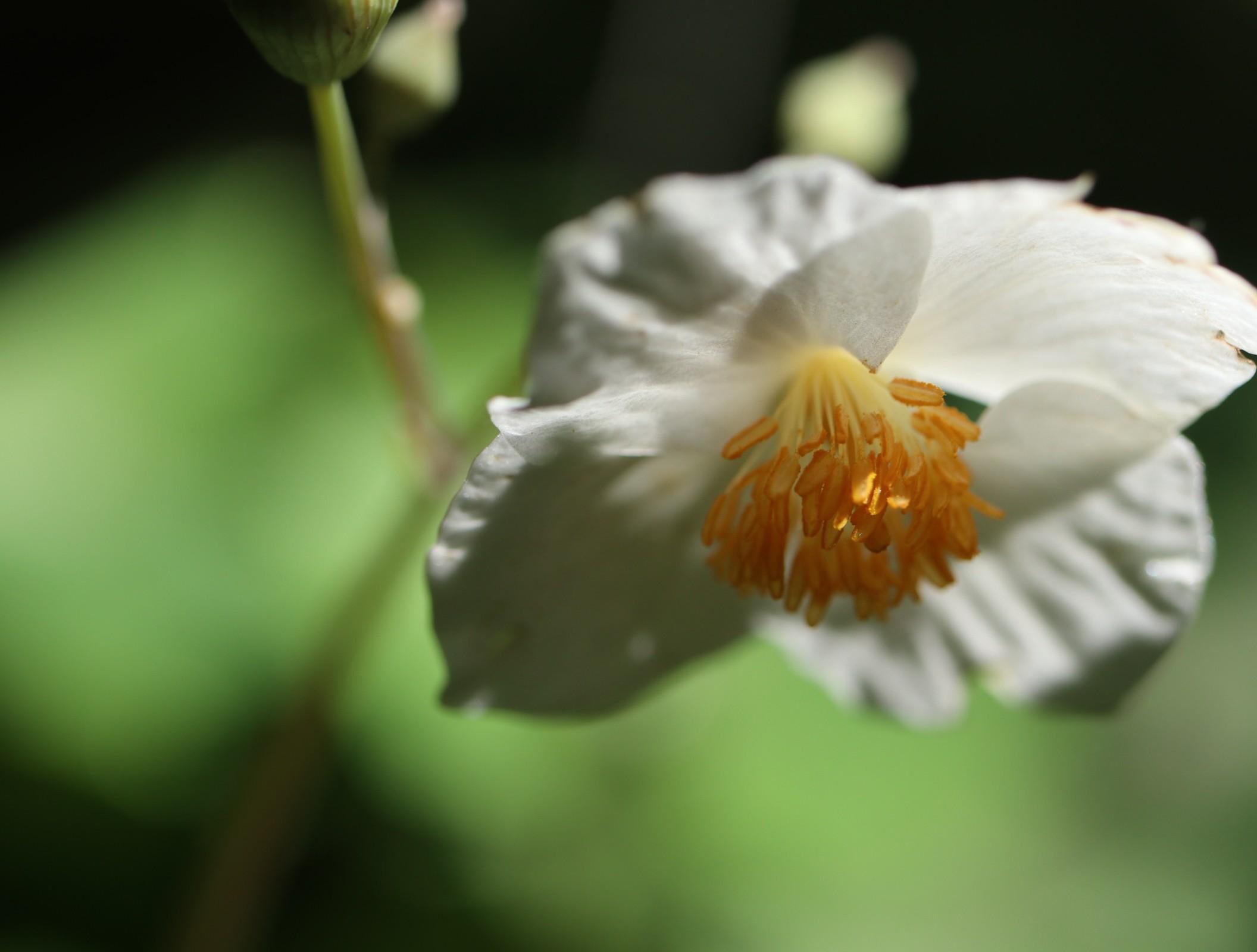 鞍掛山山歩 25-15 wt，7.6kg / toshiさんの鞍掛山・後山・三童子山の活動データ | YAMAP / ヤマップ